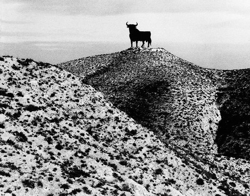 Osborne Veterano - EGGERS & FRANKE